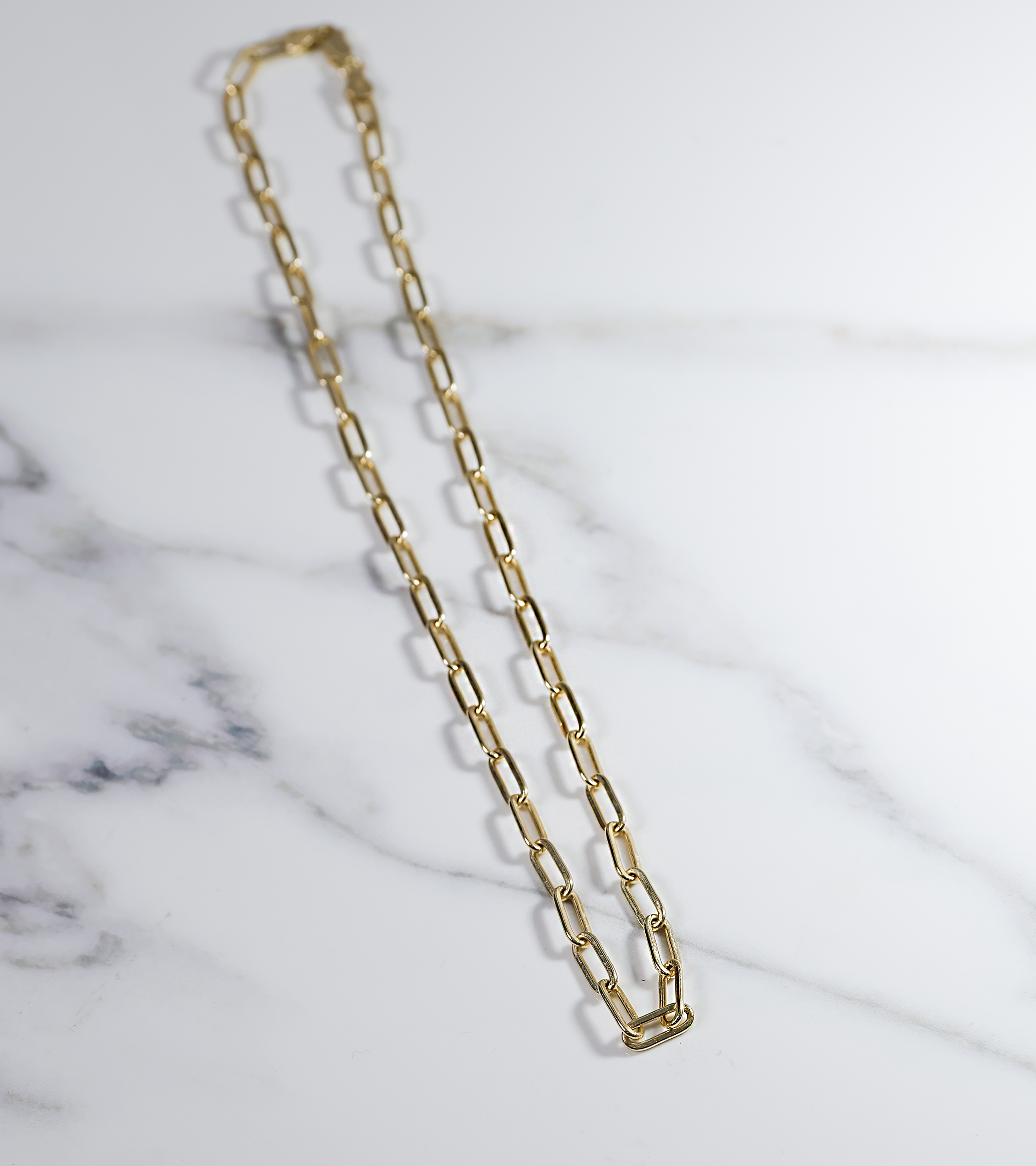 Golden Elegance Chain – Lark and Berry
